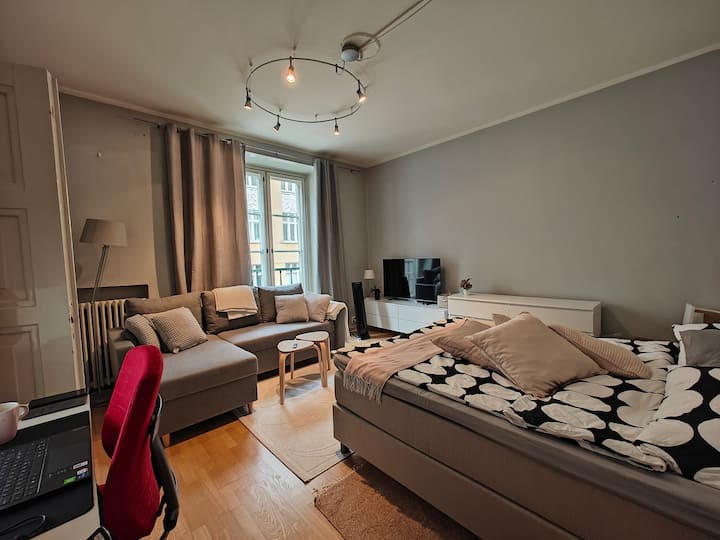 Cozy Downtown 45m2 Apartment For 2 + 2 - 헬싱키