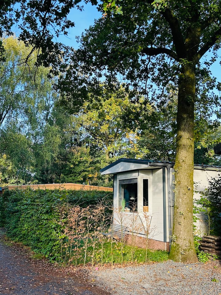 Cosy Chalet In Nature (With Ch / A/c) For Family - Putten