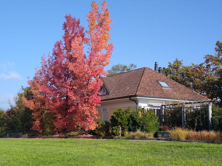 Schöne Landhauswohnung - Luzern