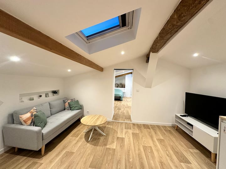 Joli Appartement Cocooning - Cugnaux