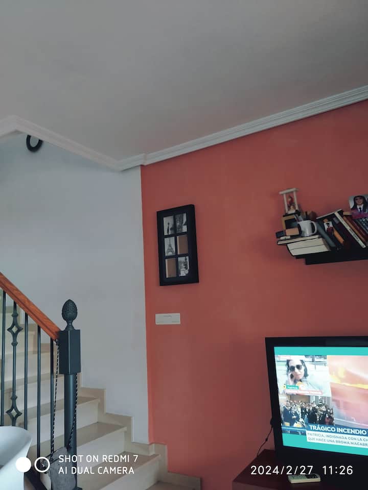 Octubre Comodidad - San Isidro, Alicante