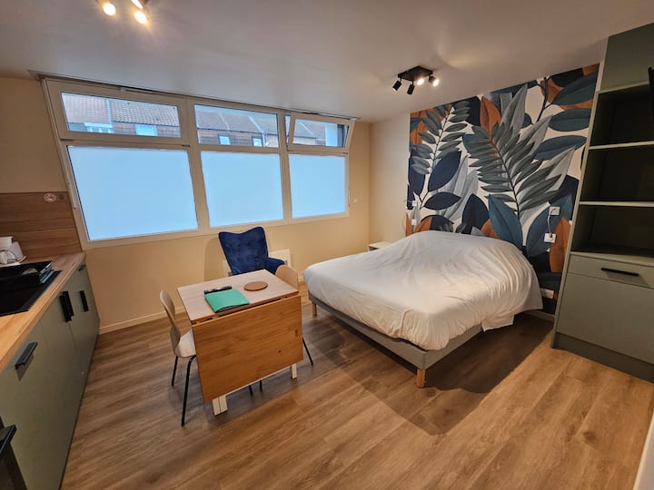 Gîte 1, Meublé, éQuipé, 20m² - Saint-Amand-les-Eaux