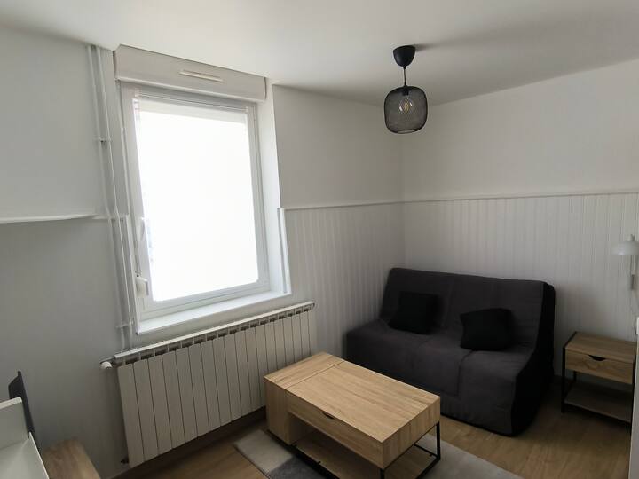 Studio Neuf Et Pratique Prox Cnpe,lux,thionville - Cattenom