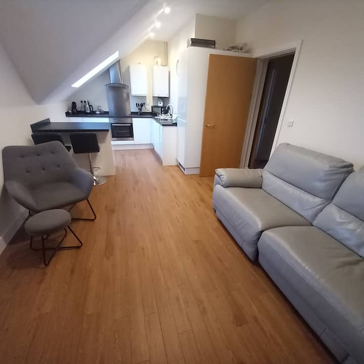 Homely Penthouse Apartment. 2 Bedroom, 3 Beds. 5 - Nottingham