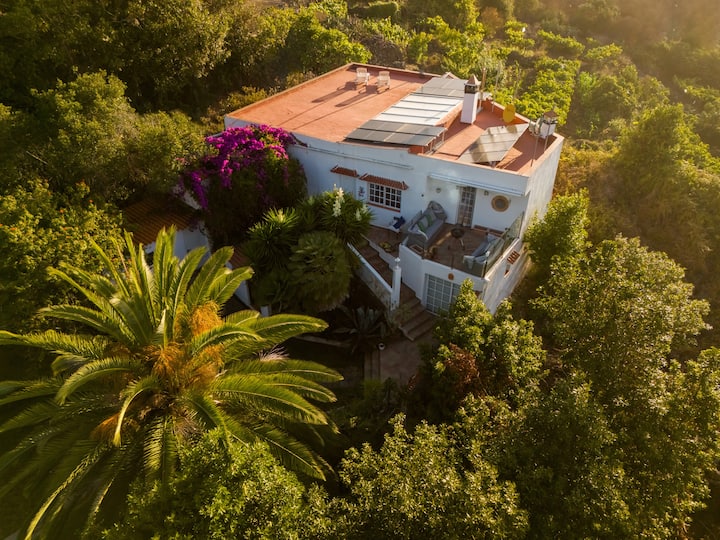 Teide Eco Harmony - Icod de los Vinos