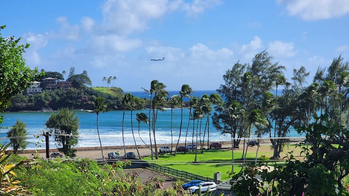 Kaiahea's  Hale 
 2 Bedroom 2 Bath 3 Beds - Kauai, HI