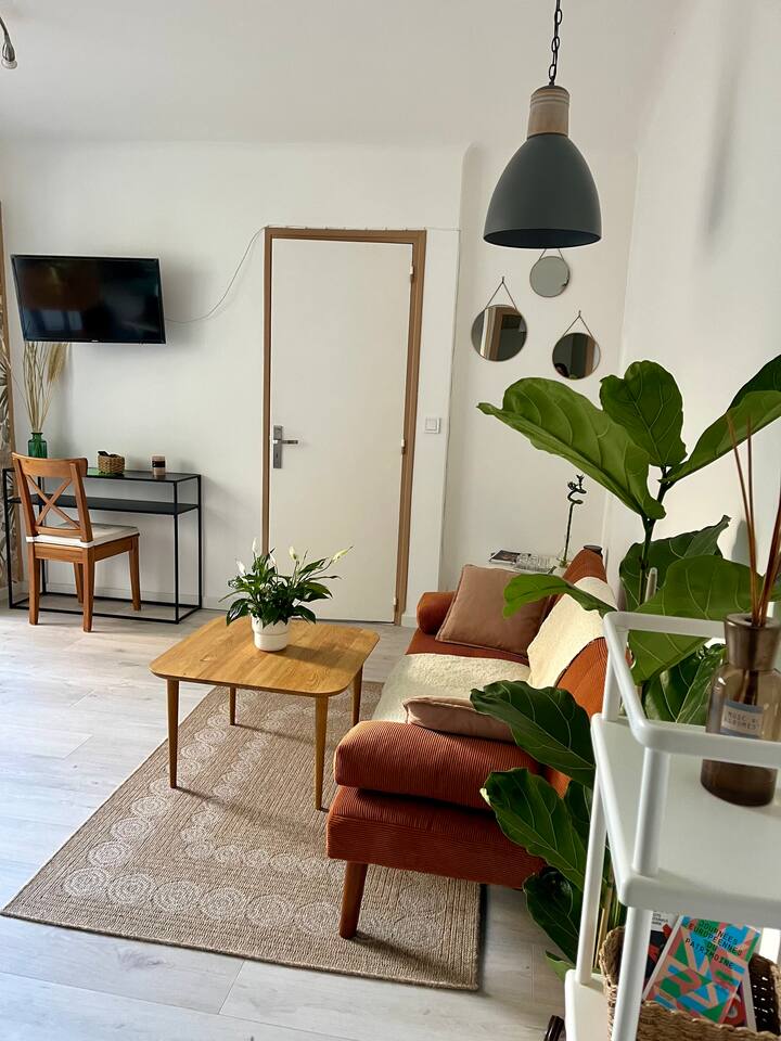 Cozy Appartement En Centre-ville - Montpellier