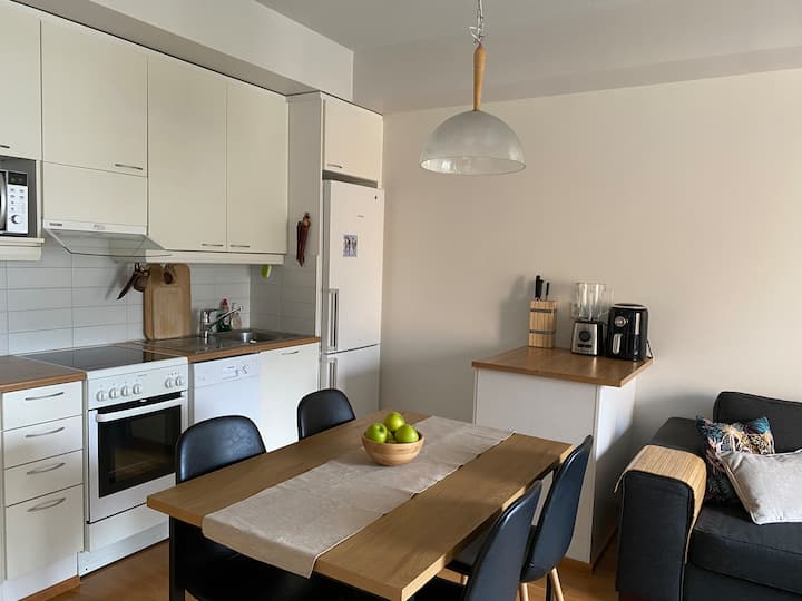 Lapland City Aparment With Sauna - Rovaniemi