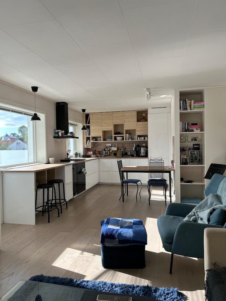 Moderne Og Fin Leilighet - Stavanger