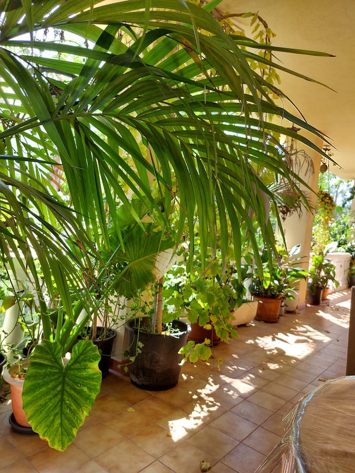 Habitación Con Mucha Luz - Catalonia
