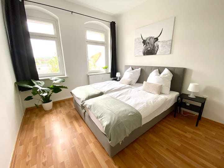 Großes Apartment In Pieschen - Radebeul
