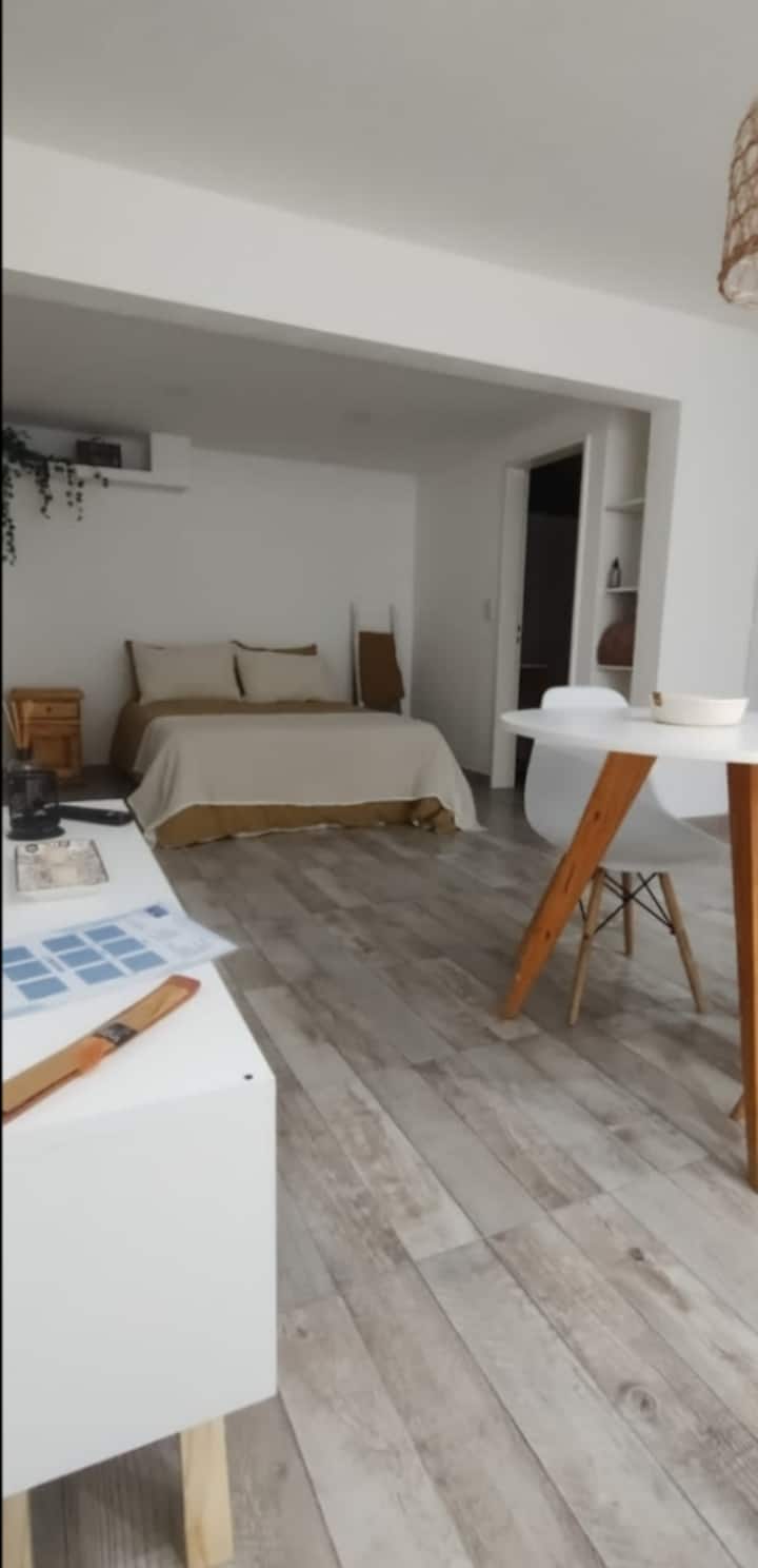 Mono Luminoso Y Cómodo. - La Plata, Argentina