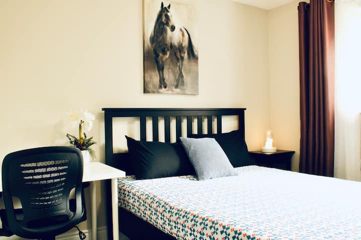 7.3 Sunfilled Room In 2nd Flr For 2, Near Airport - Vaughan