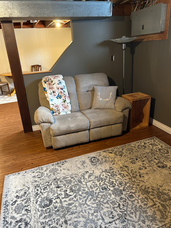 Basement Suite - Morden