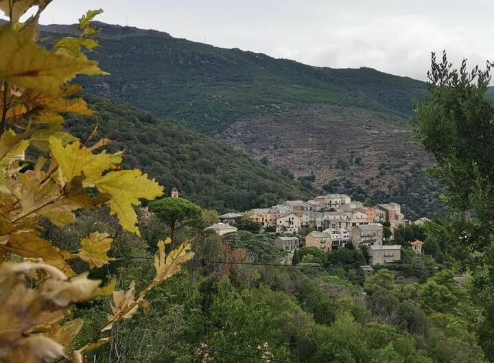 Location T3 Bas De Villa - 바스티아