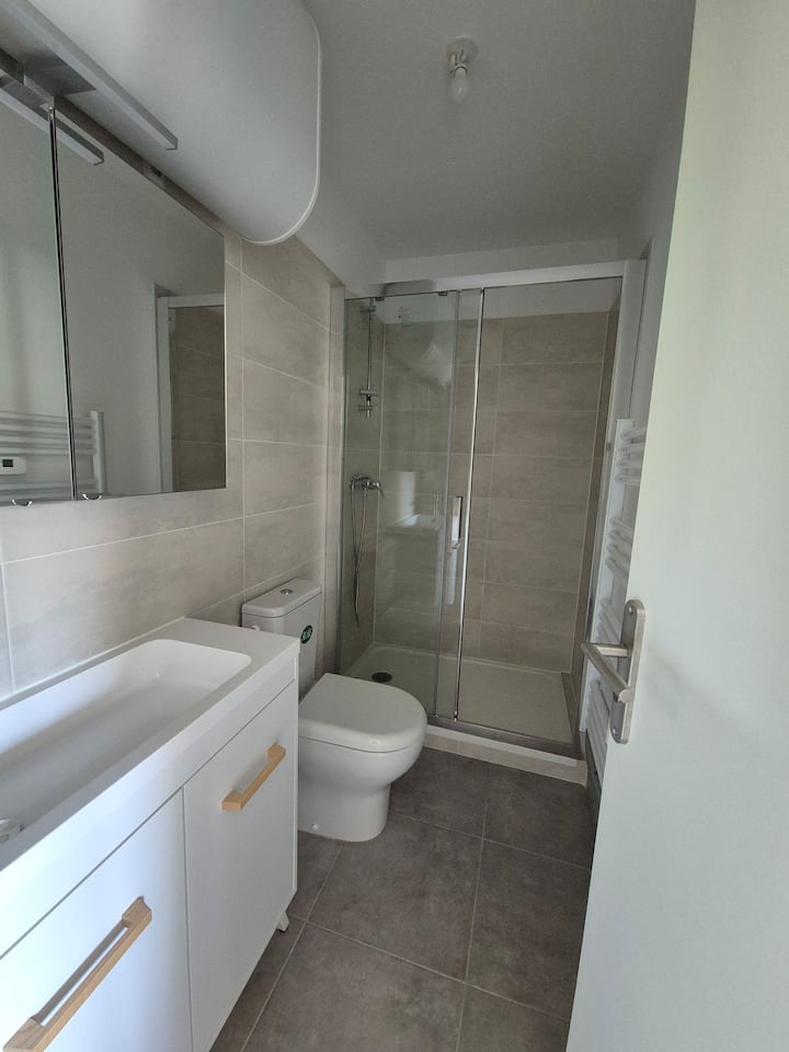 Petit F2 Très Lumineux - Montpellier