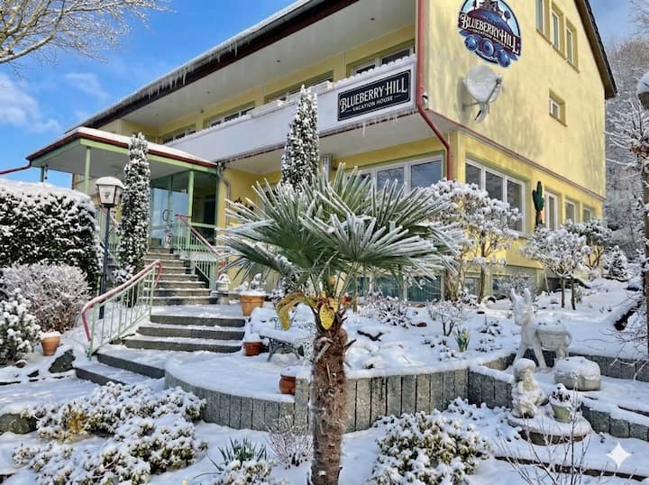 Letztes Winter We Ab 06.märz Frei Blueberry Hill - Willingen