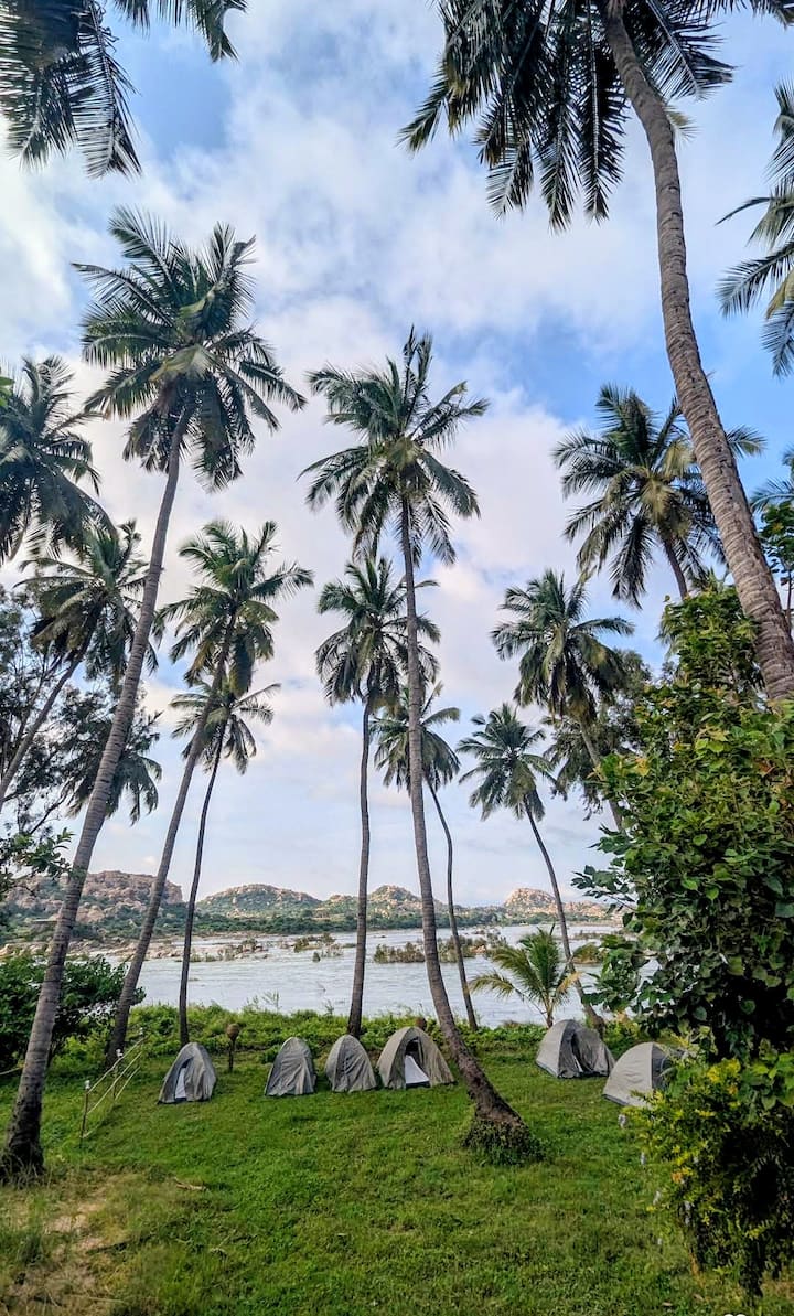 River Bay Tents - 함피