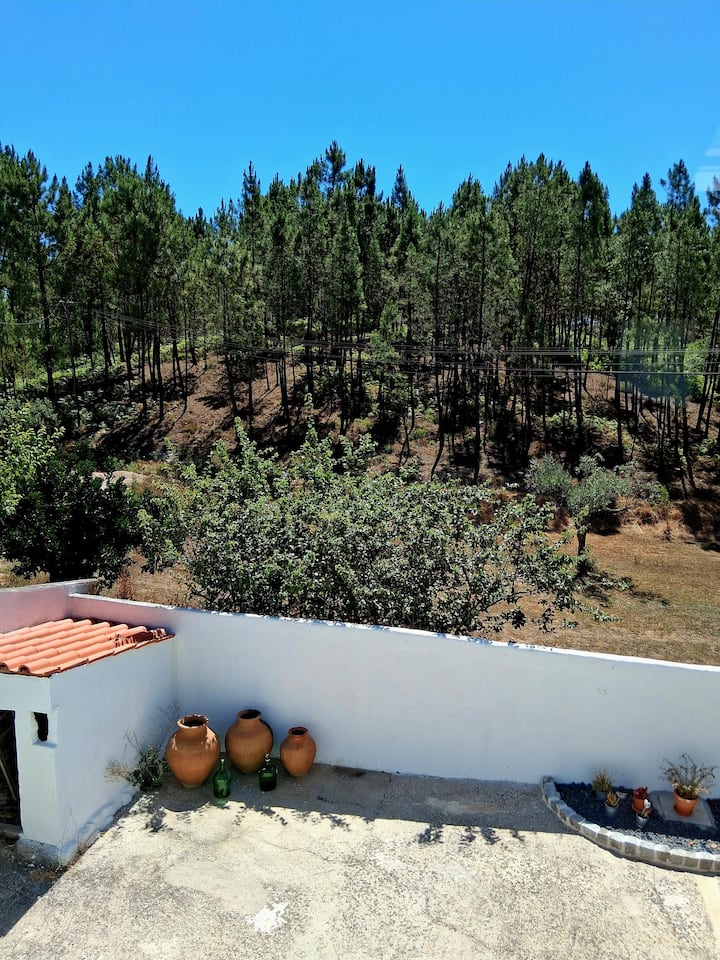 'Pinheiros Tranquilos', On Site Massage And Menu - Castelo