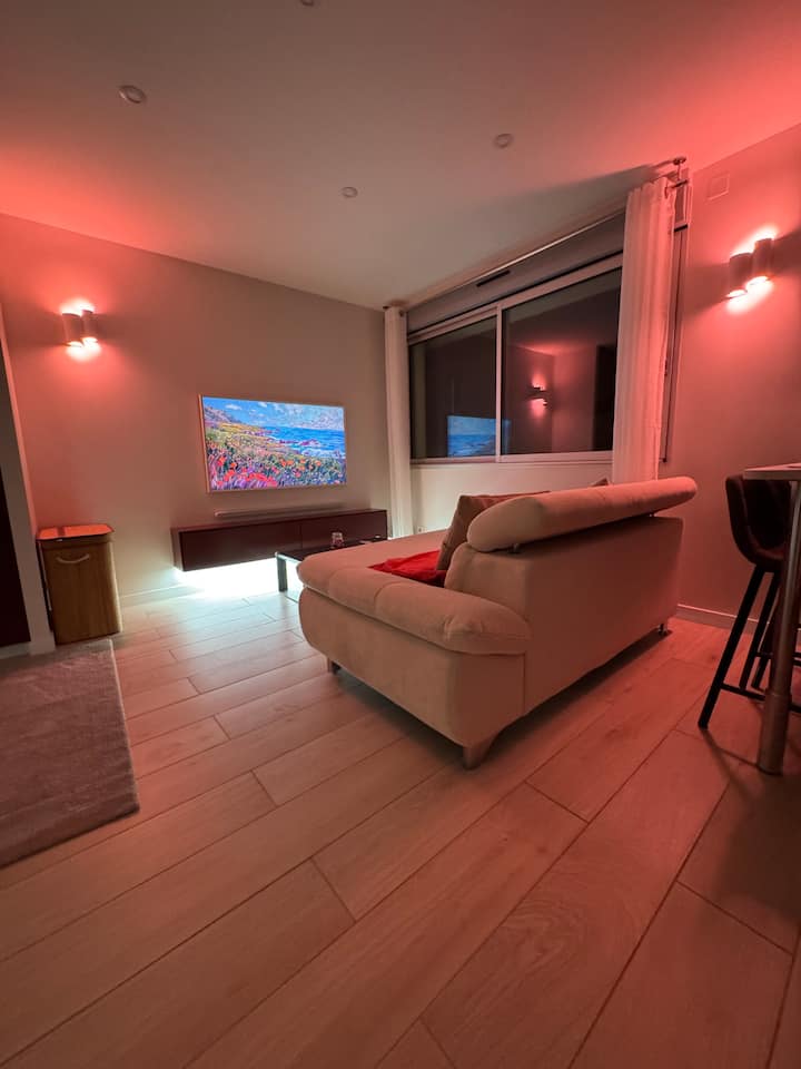 Studio Alliant Confort Et Technologie - Clermont-Ferrand