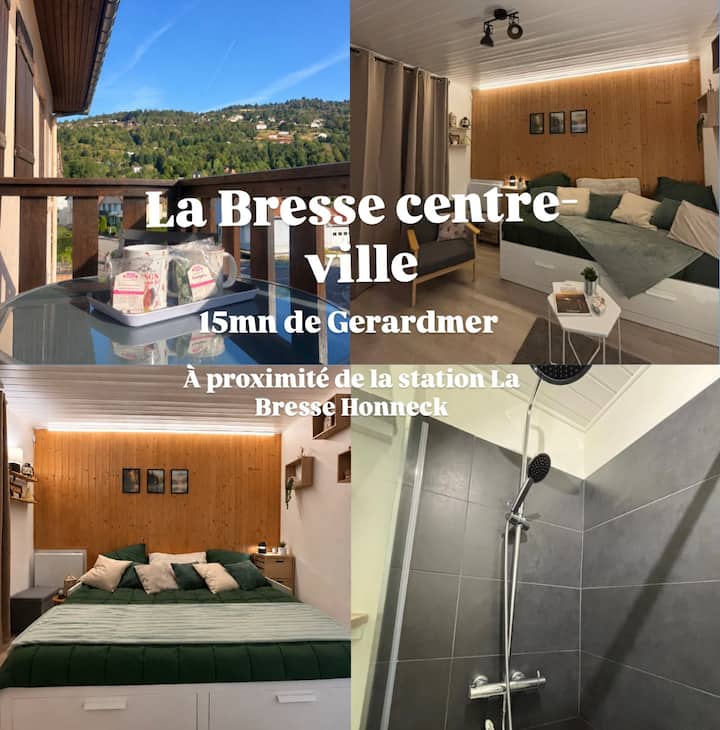 Coralies Apartment (La Bresse Town Centre) - La Bresse