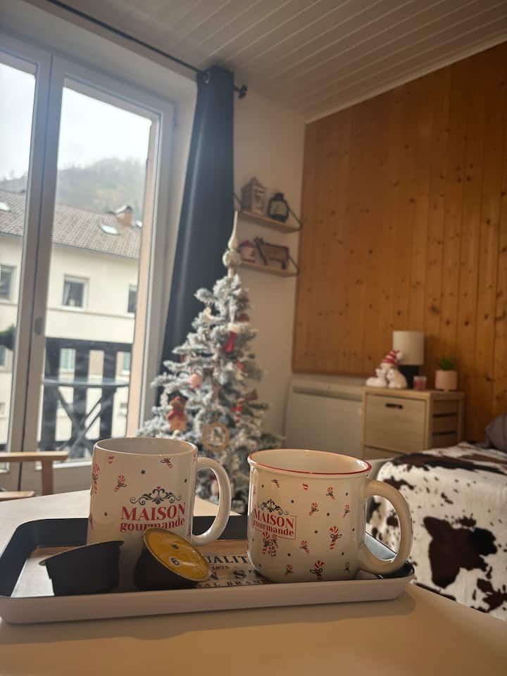 Appartement Proche Station De Ski La Bresse - La Bresse