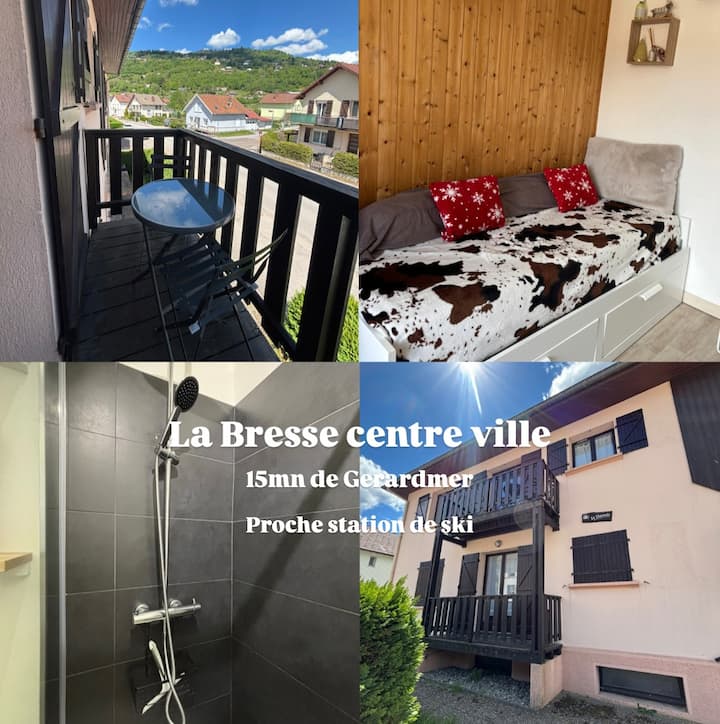 Appartement De Coralie (Centre Ville La Bresse) - La Bresse