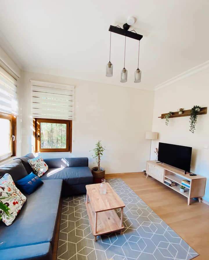 Stylish & Comfort Apartment In Ortaköy - Istanbul