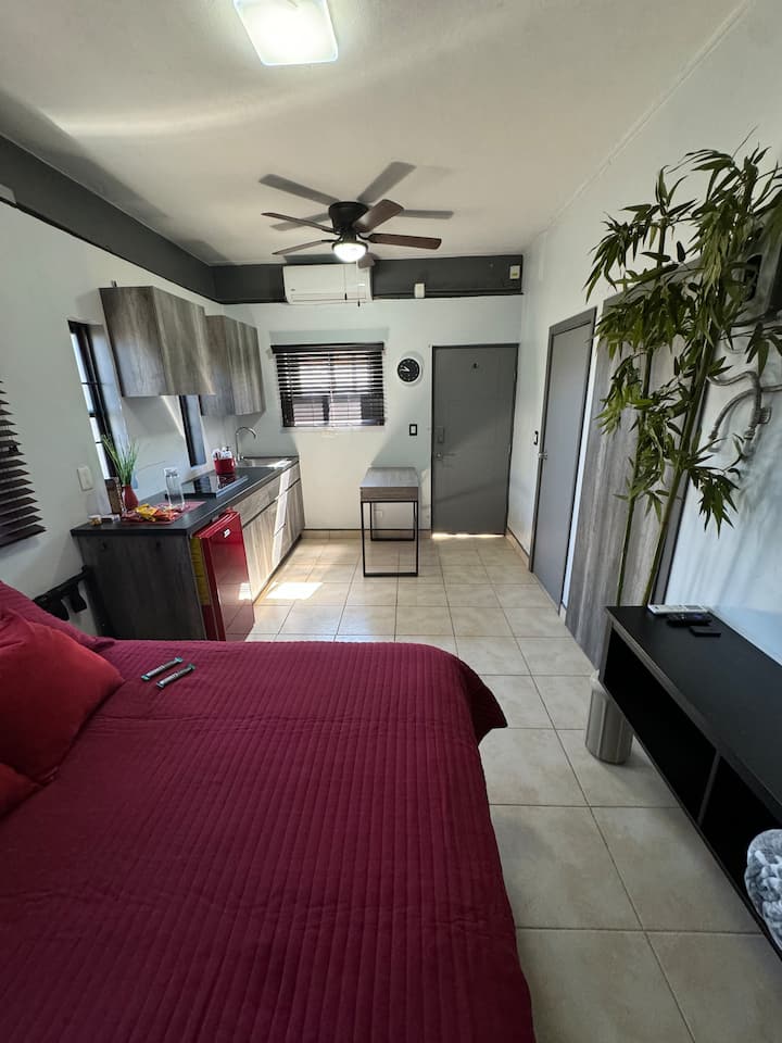 Loft | Parking Privado Y Patio En Centro Ensenada - Ensenada