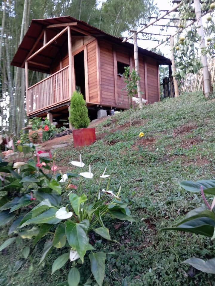 Brisas De La Reserva - Calima