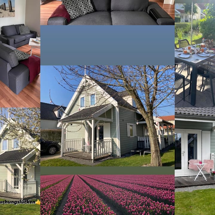 Schönes Ferienhaus Nur 200 Meter Vom Meer - Bruinisse