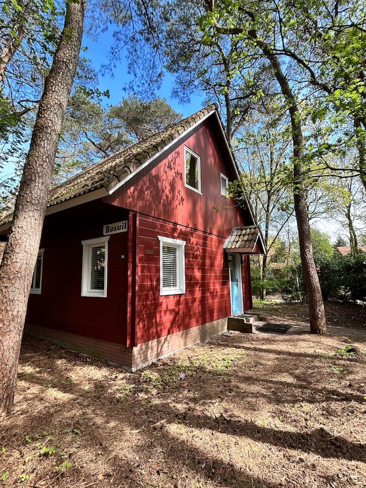 Sfeervol En Vakantiehuis Vlakbij De Duinen - 阿默斯福特