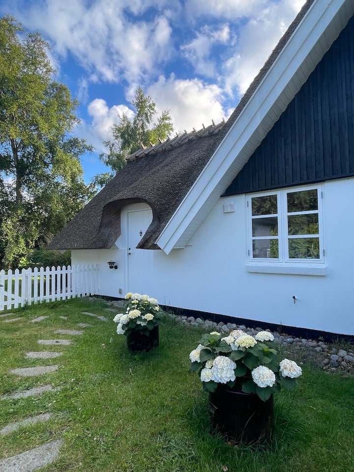 Stråtækt Oase I Udsholt Strand - Denemarken