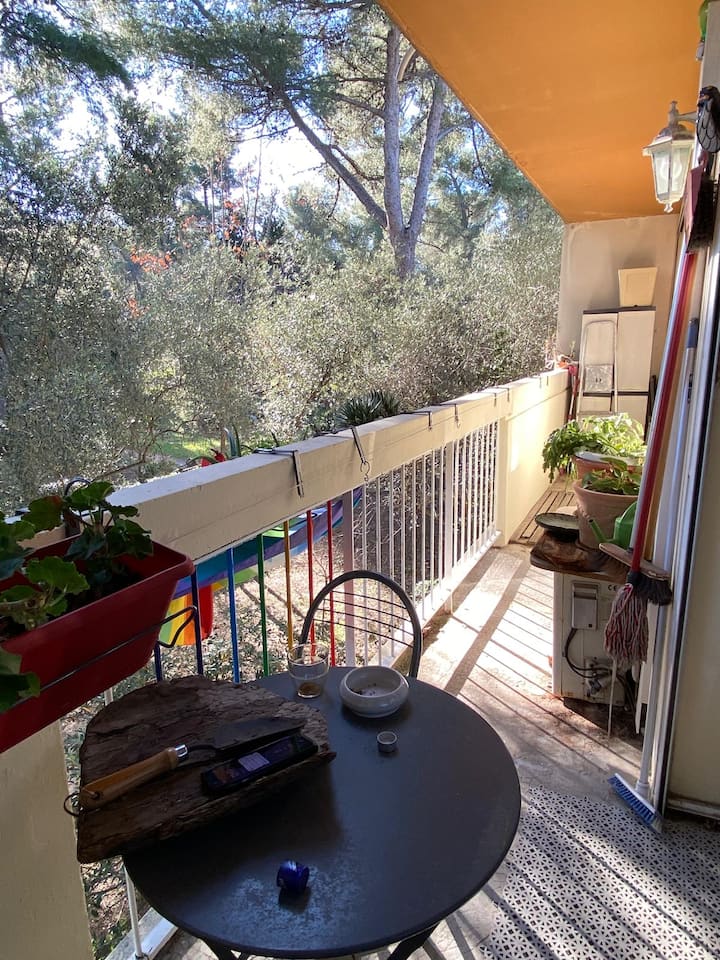 Parc Calanques/rade  Sud De Marseille - Marseille