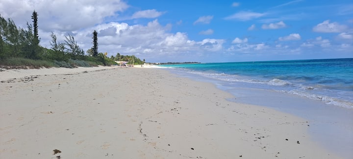 Tranquil Beach Front Condo - The Bahamas