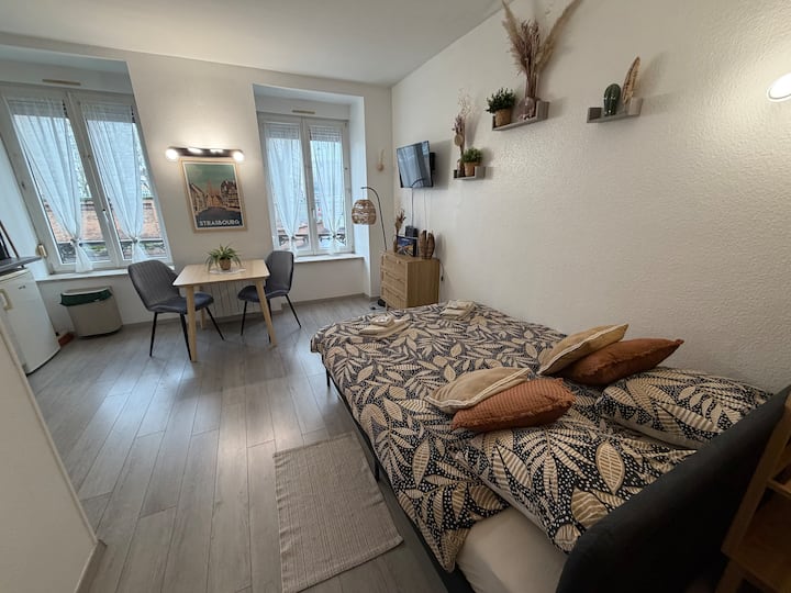 Studio, Gare, Petite France, Et Hypercentre - Strasbourg