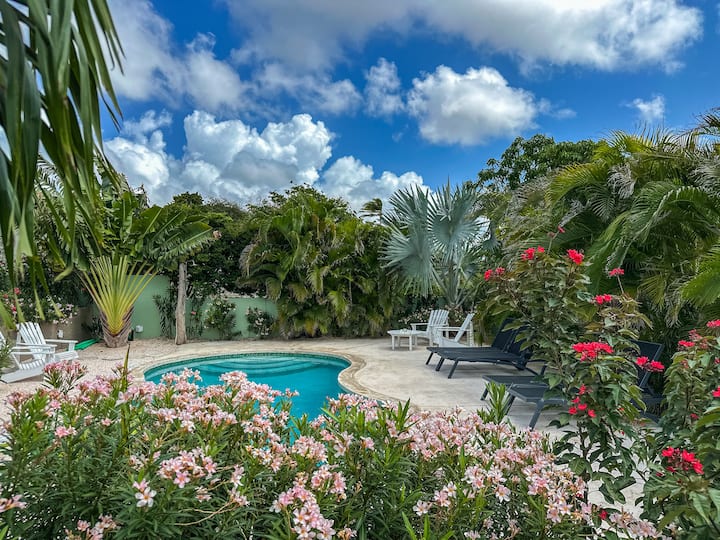 Apartment Pinot Grigio At Casa Uva Verde - Curaçao