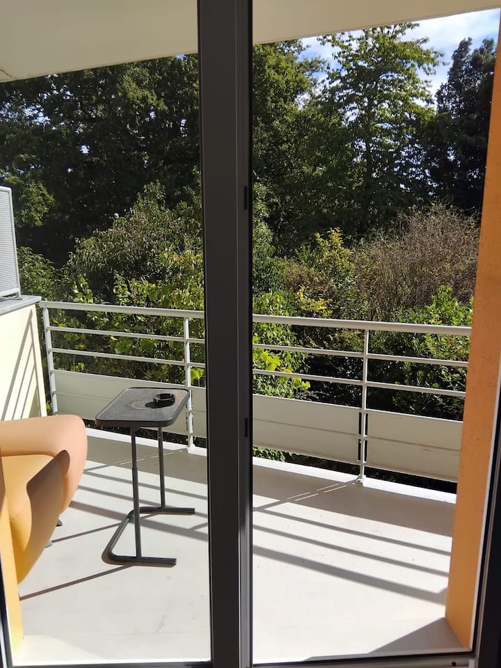 Bel Appartement - Rennes
