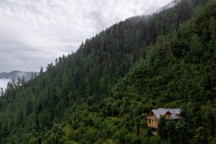 Into The Woods Eco Lodge — A Hidden Forest Retreat - Jibhi