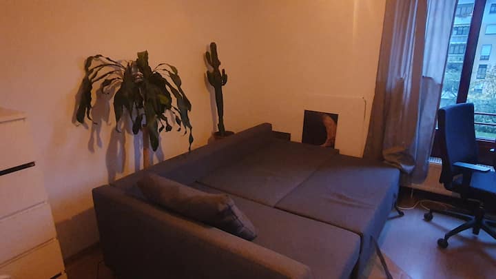 Günstige Schlafcouch - Munich