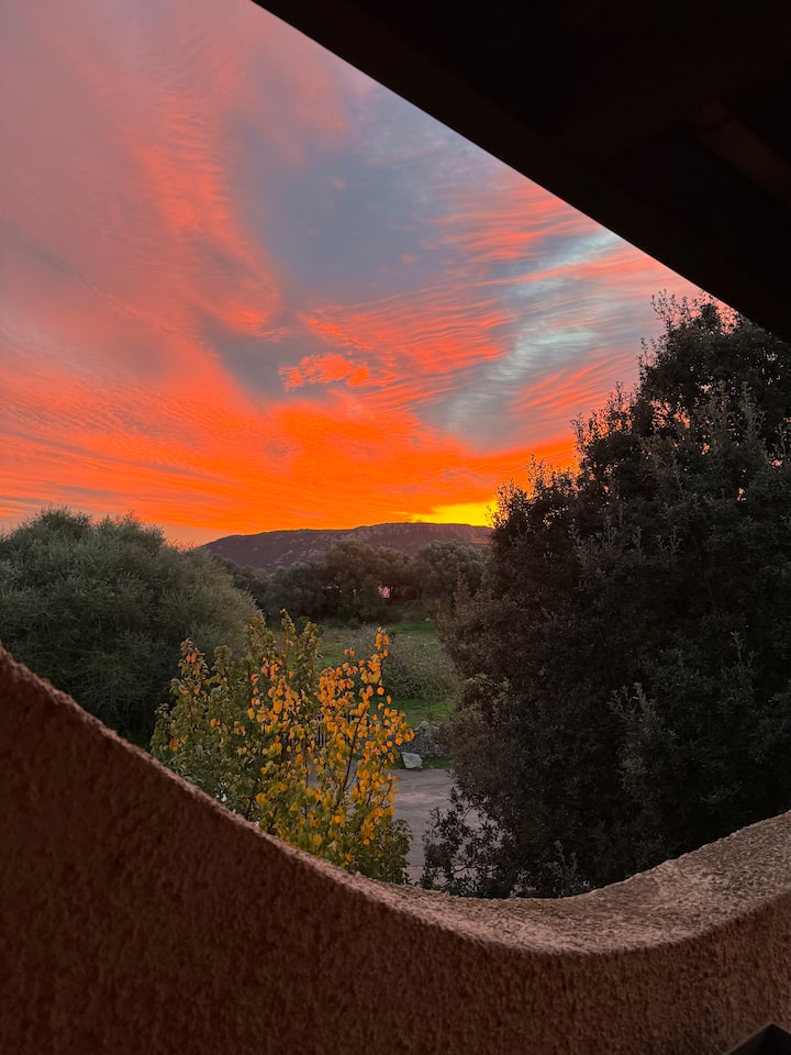 Logement Familial Centre-ville - Plage de Palombaggia