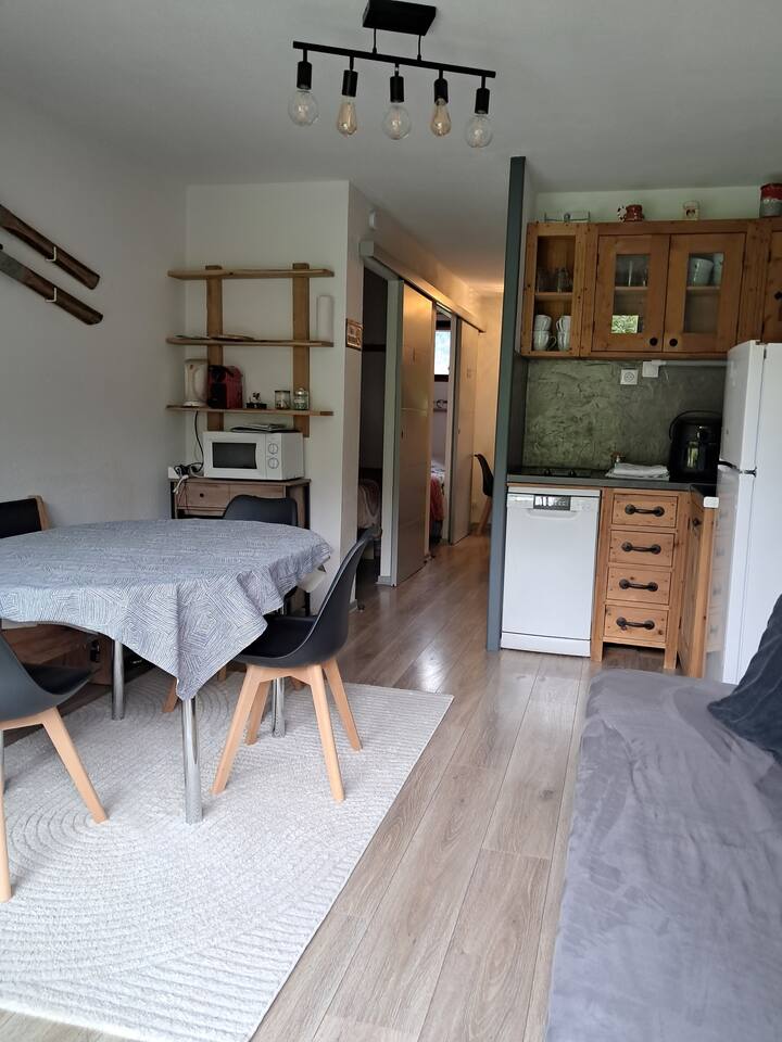 Morillon Village Logement Avec Jardin - Cluses