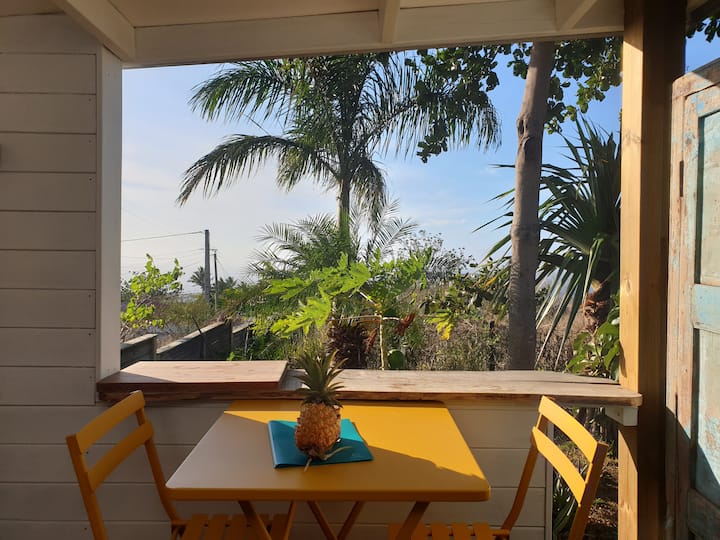 Studio Vue Mer Et Savane - La Réunion