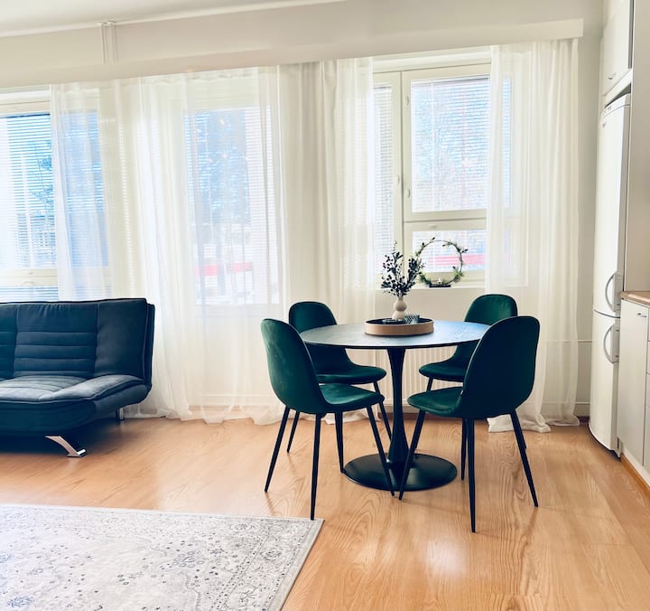 Yksiö Omalla Saunalla+autopaikalla Hyvä Sijainti - Rovaniemi