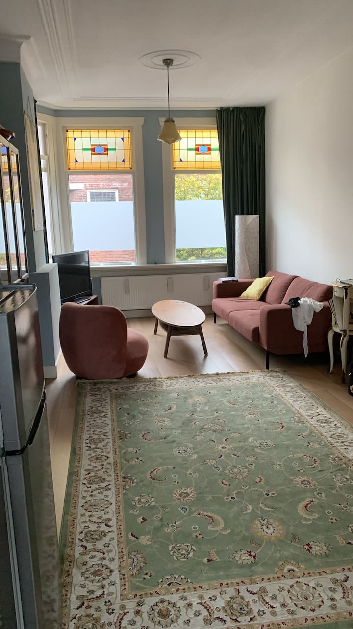 Charming Flat With Two Bedrooms - The Hague
