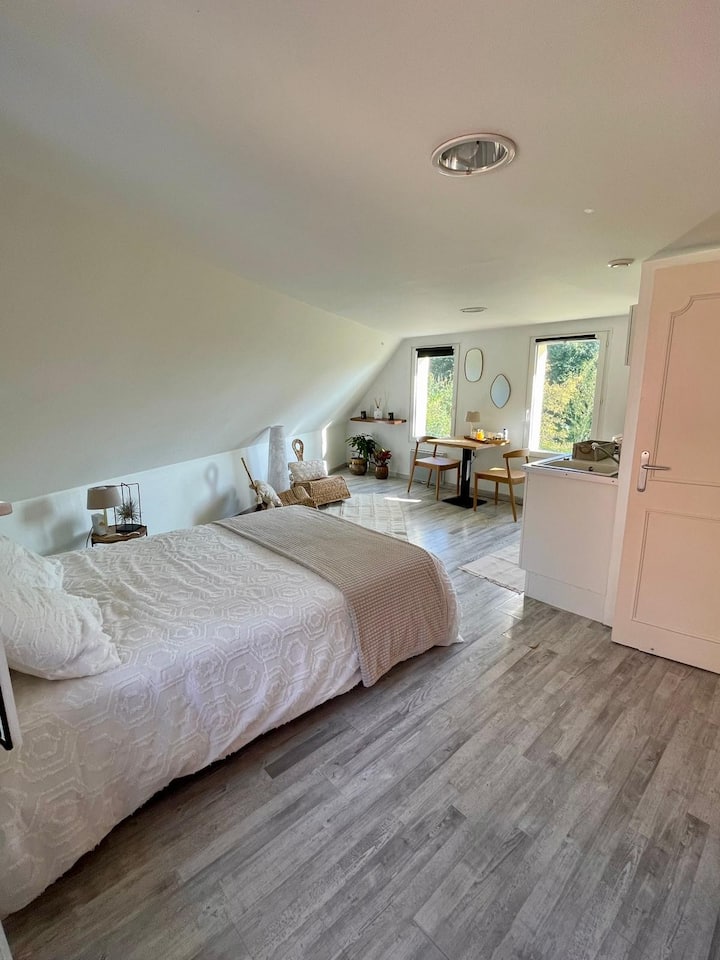 Studio Proche Aéroport, 15 Min Lille Centre, Chr - Seclin