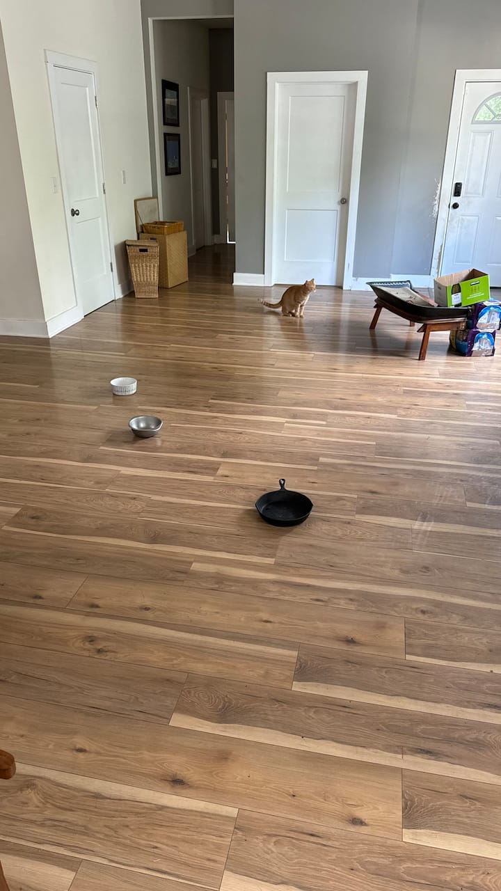 Windsor Park Open Space Near Dt - Indianapolis, IN