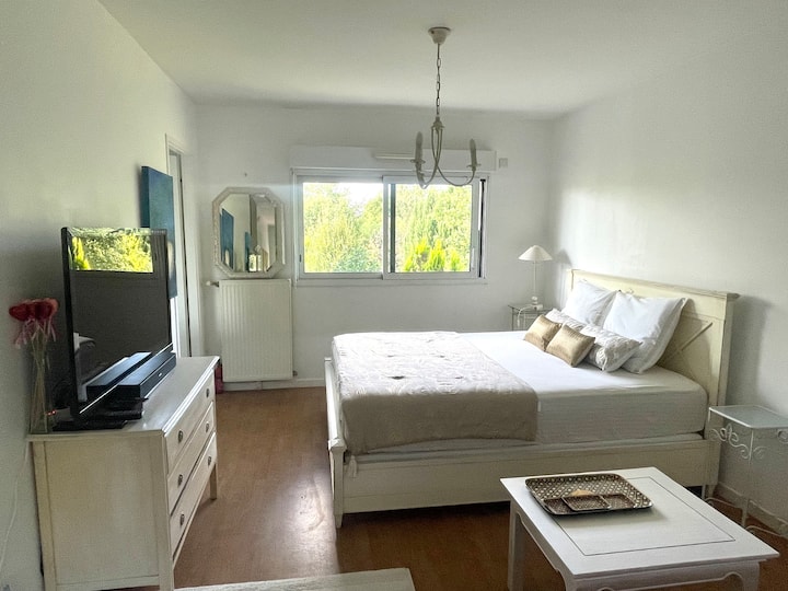 Suite "Némo" Avec Vue, Disneyland Paris - Chessy