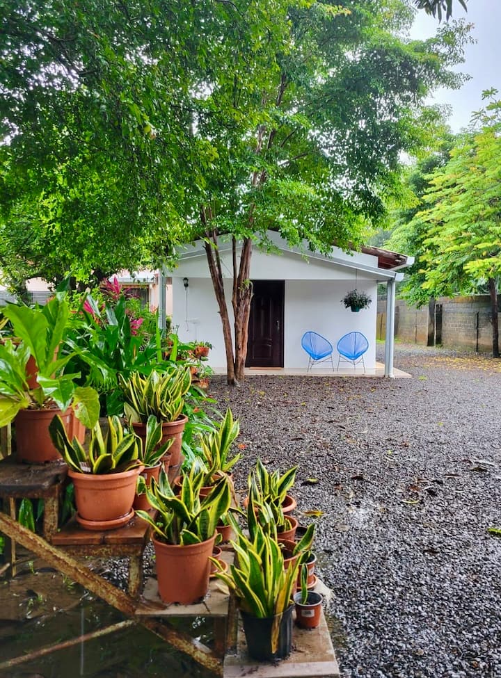 Guayacán, A Cozy Studio! - Liberia