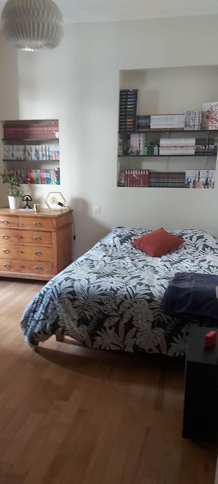 Jolie Chambre Au Centre-ville - Straatsburg